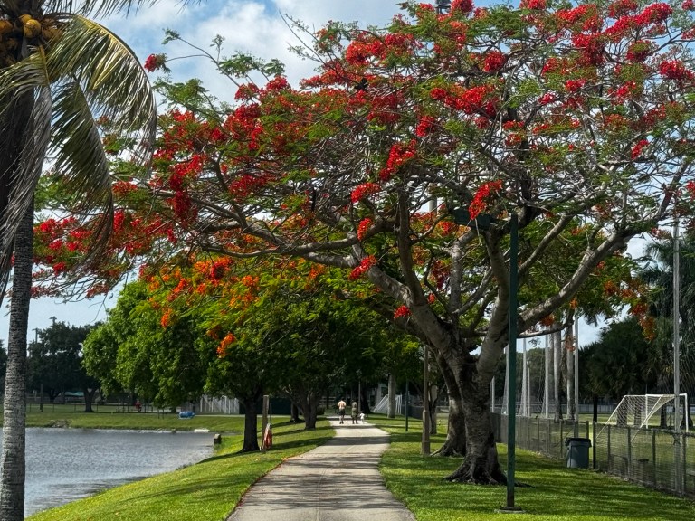 Walking in the Light of God’s Truth and Love: Embrace the Harmony of ...